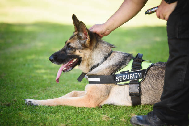K9 Service Unit – SECURE